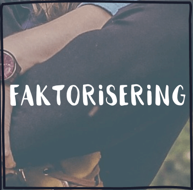 Eenvoudige faktorisering | Wiskunde is maklik